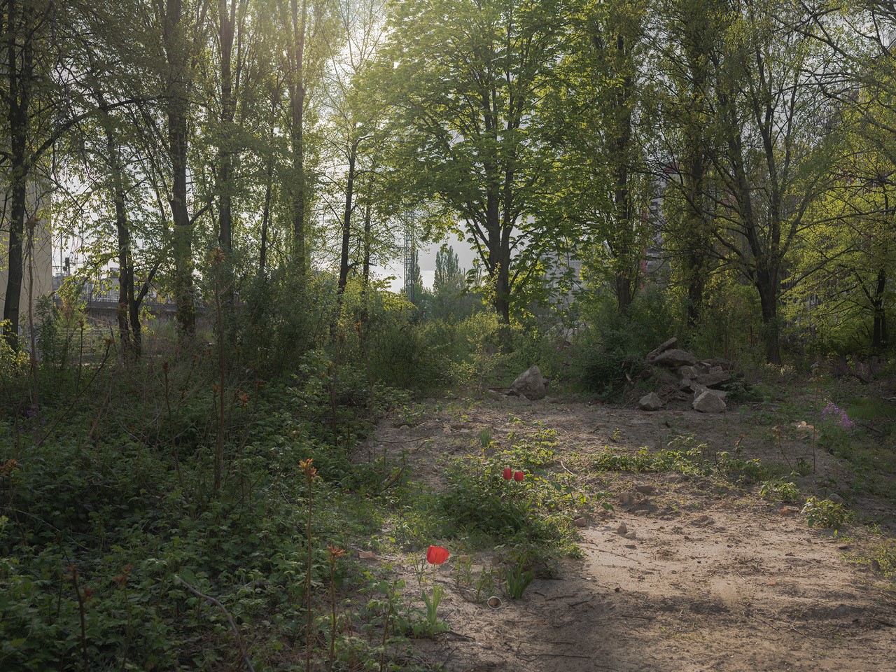 Ausstellung | rest und reservoir - Österreichisches Kulturforum Berlin